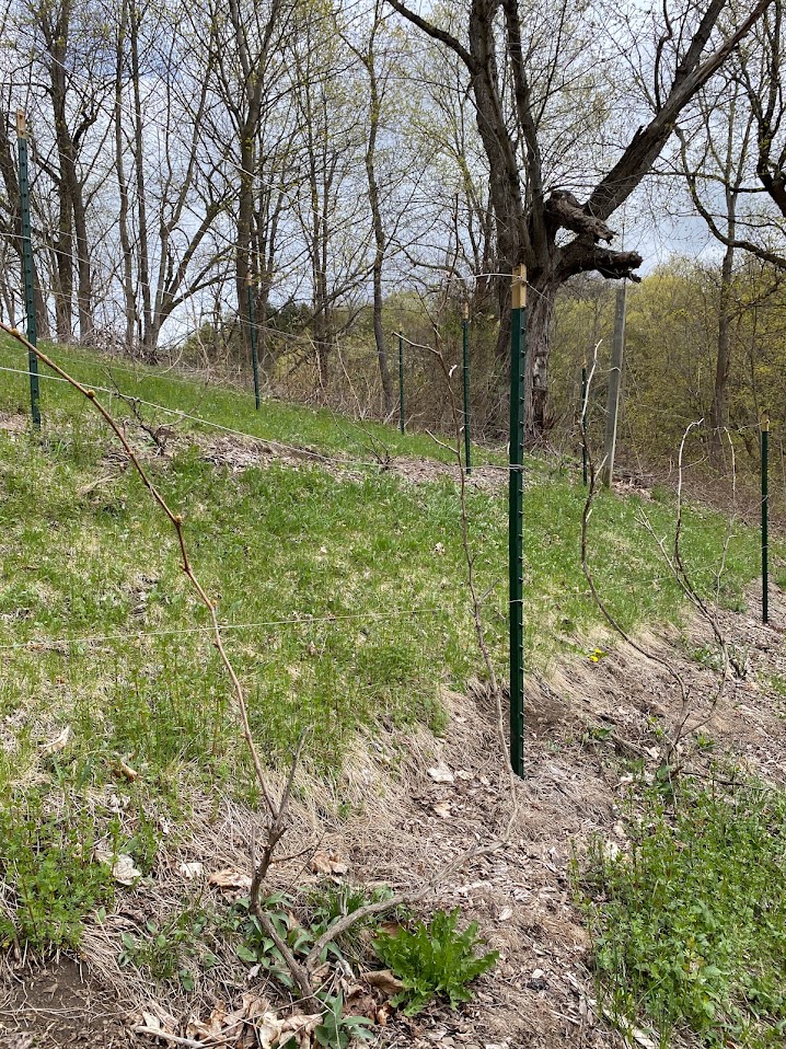 Danascara Landscape Progress and To Do List – Park and Division