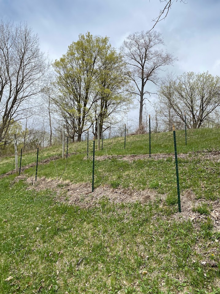 Danascara Landscape Progress and To Do List – Park and Division